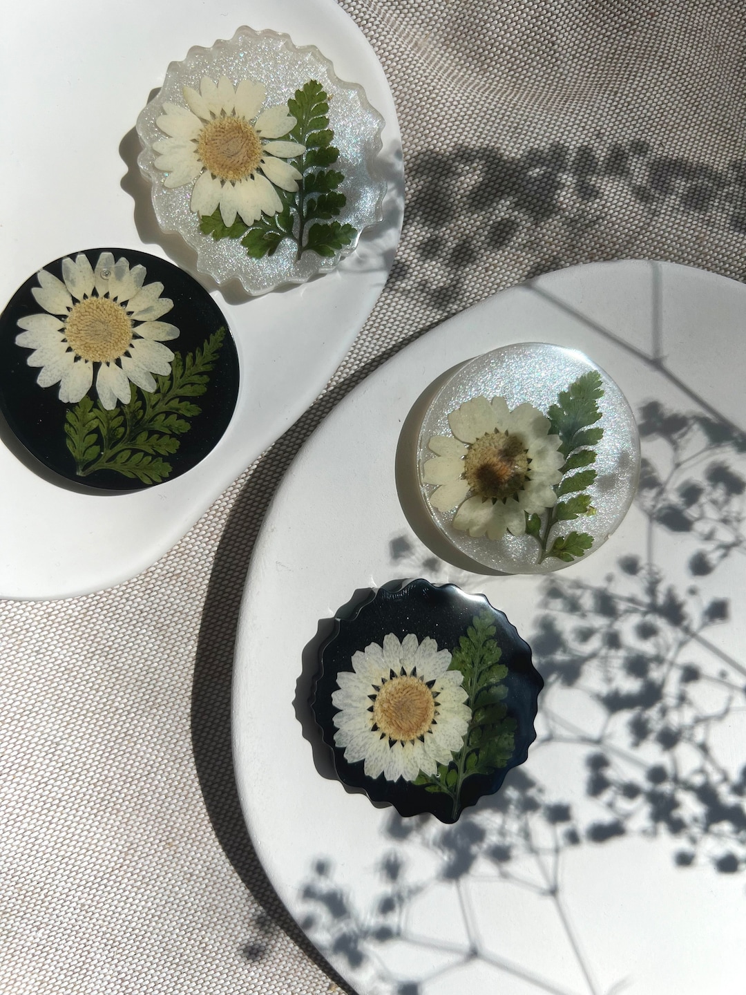 2pc/foral Irregular Round Heart Shape Daisy Fern Pressed Flowers ...
