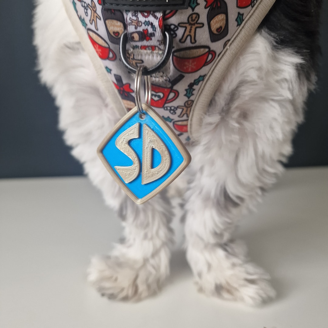 Scooby Doo Logo Dog Tag for Cosplay Costume / Scooby Doo Key Ring - 3D ...