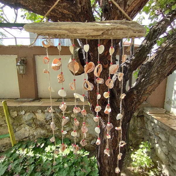 Shell and Driftwood - Etsy