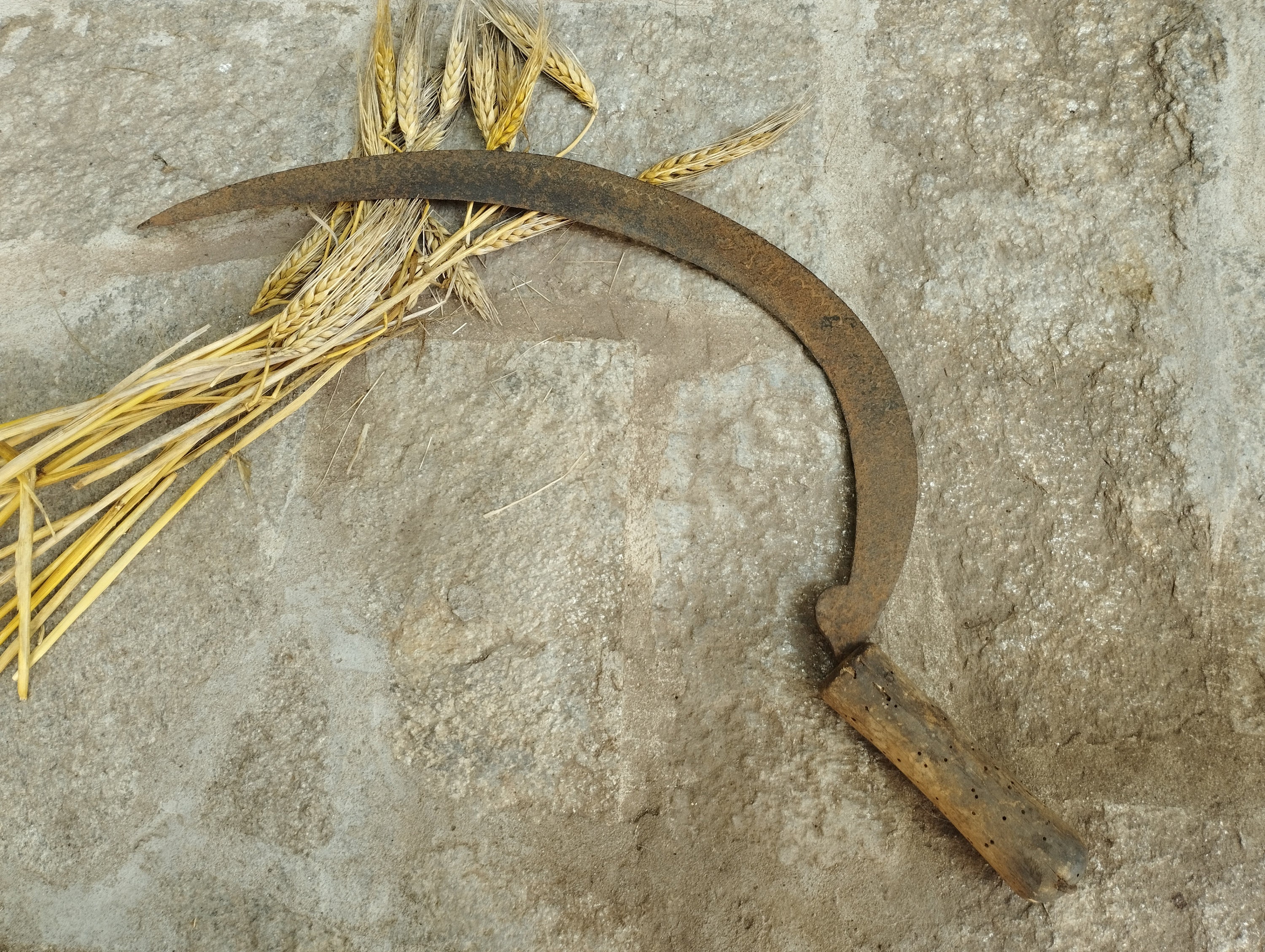 Vintage Rusty Sickle, Primitive Sickle, Old Metal Sickle With Wooden ...