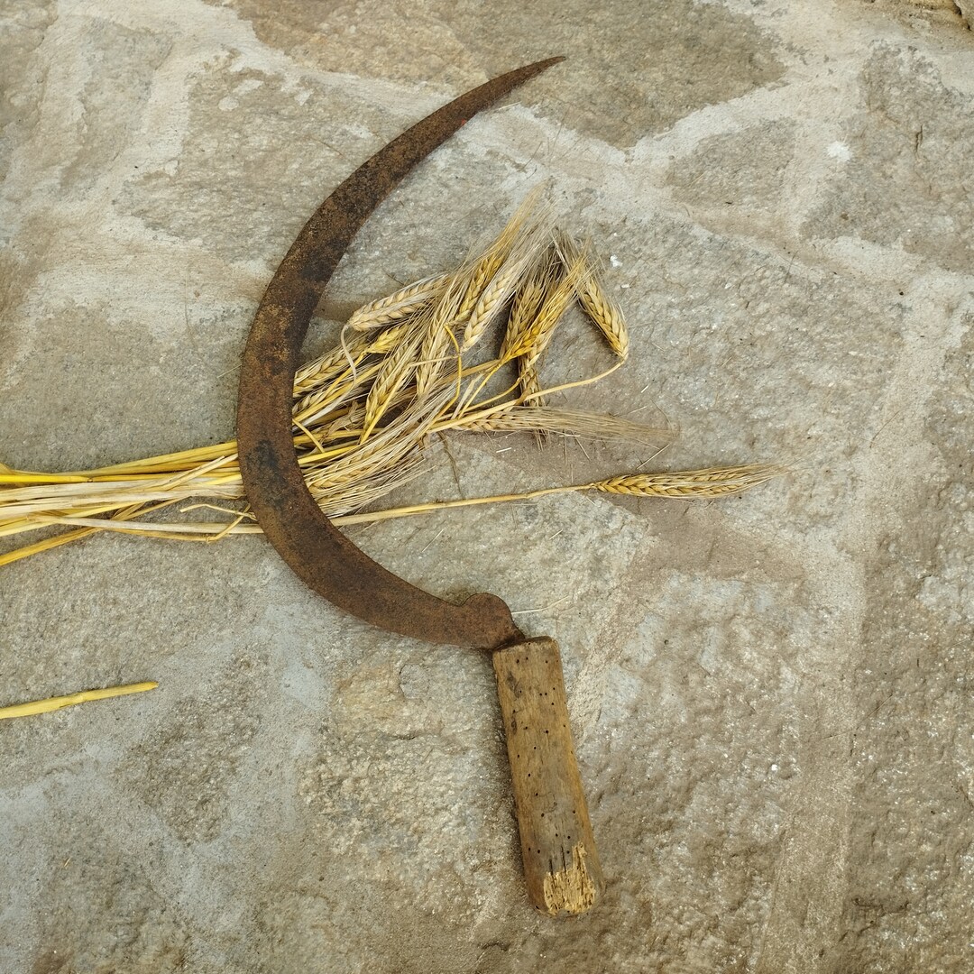 Vintage Rusty Sickle, Primitive Sickle, Old Metal Sickle With Wooden ...