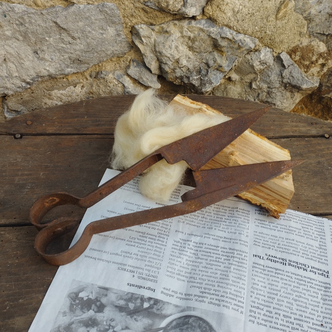 Antique Scissors, Vintage Wool Scissors, Shears for Shearing Sheep ...