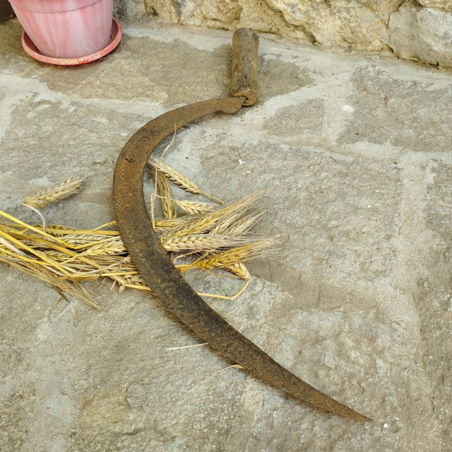 Vintage Rusty Sickle, Primitive Sickle, Old Metal Sickle With Wooden ...