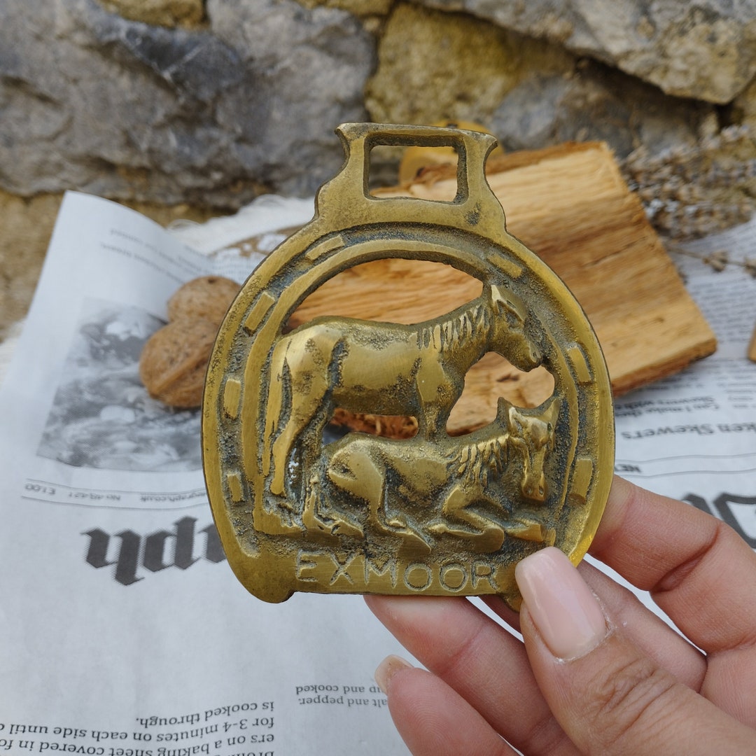 Vintage Brass Horse Harness Medallion, Horse, Pony, EXMOOR, Cast Brass ...