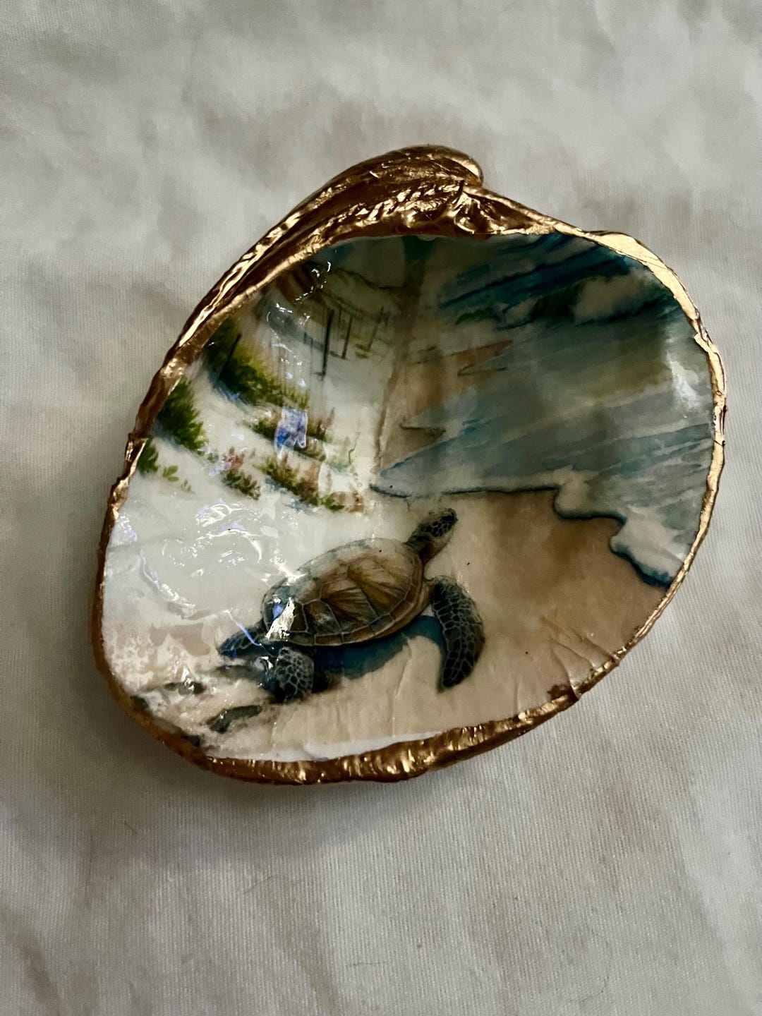 Sea Turtle Trinket Dish, Clam Shell Decor, Shell Art, Turtles, Unique ...