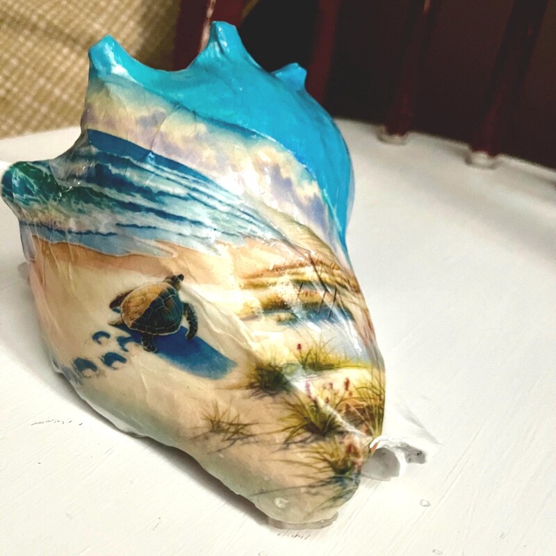 Decoupage Conch Shells - Etsy