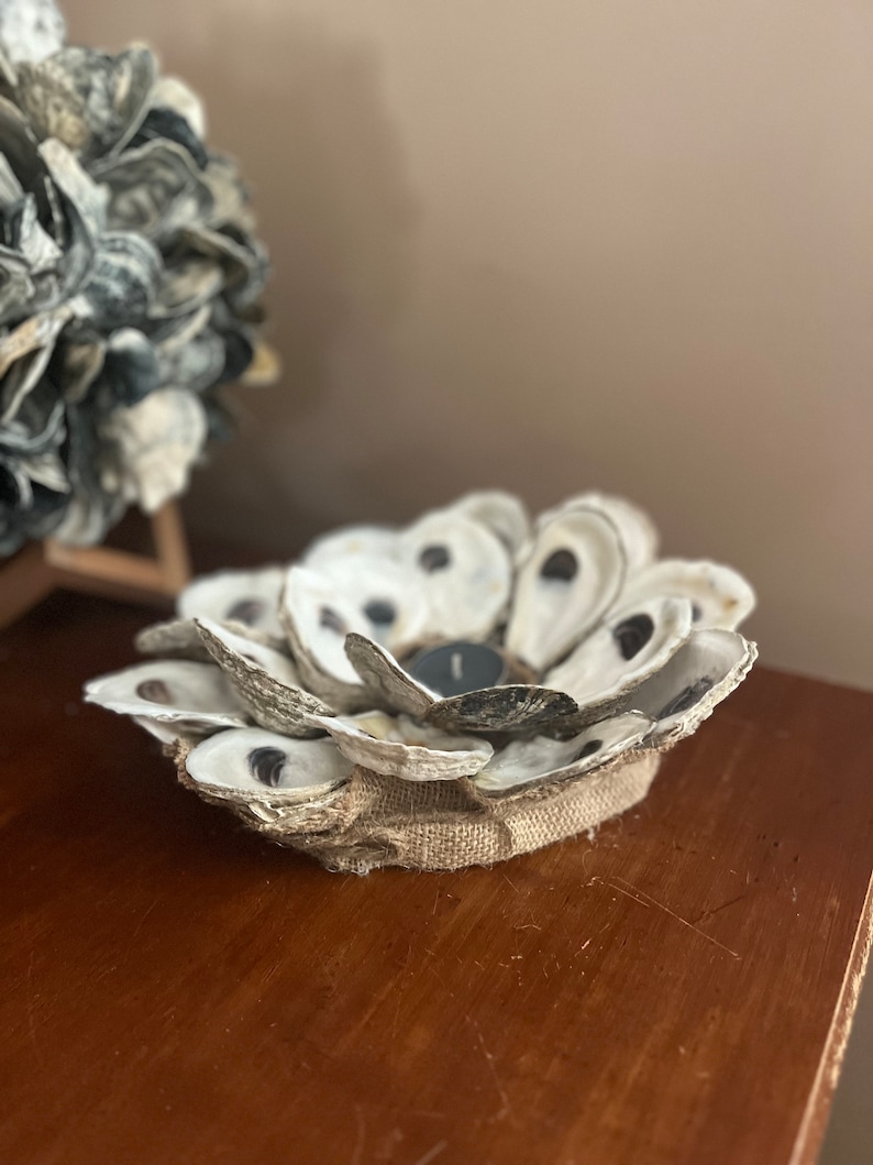 Oyster Shell Candle Holder - Etsy