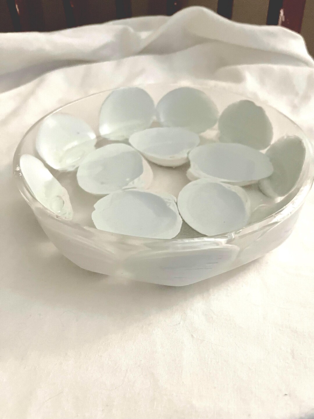 Clam Shell Bowl: Beach Decor Centerpiece (7.1”) - Etsy