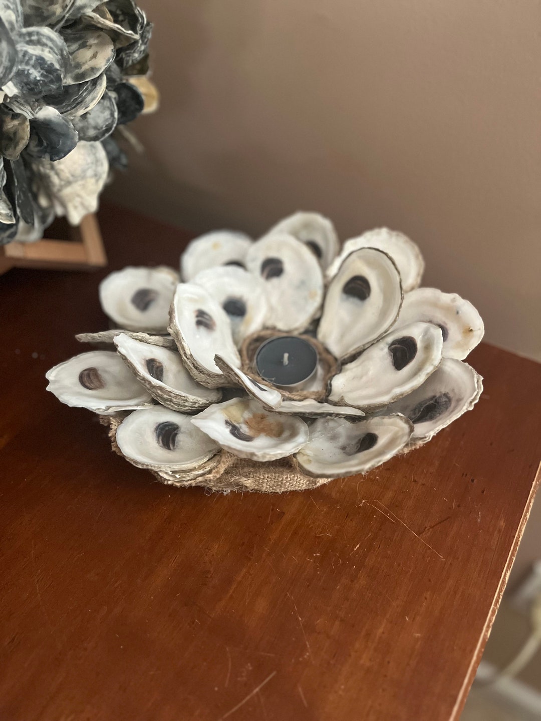 Oyster Shell Candle Holder - Etsy