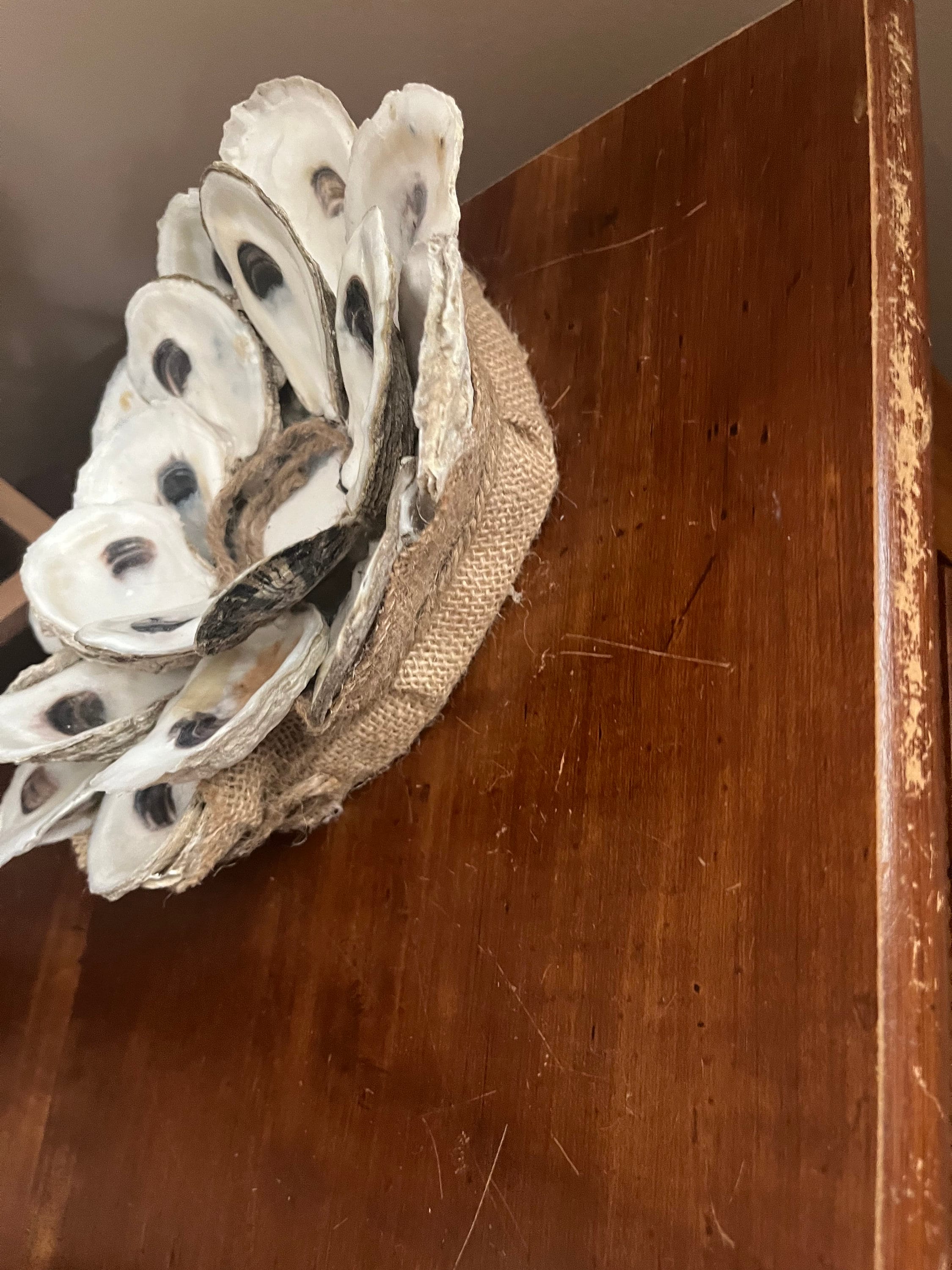 Oyster Shell Candle Holder - Etsy