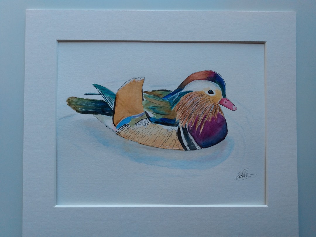Mandarin Duck Original Watercolour Mounted 10x12 - Etsy
