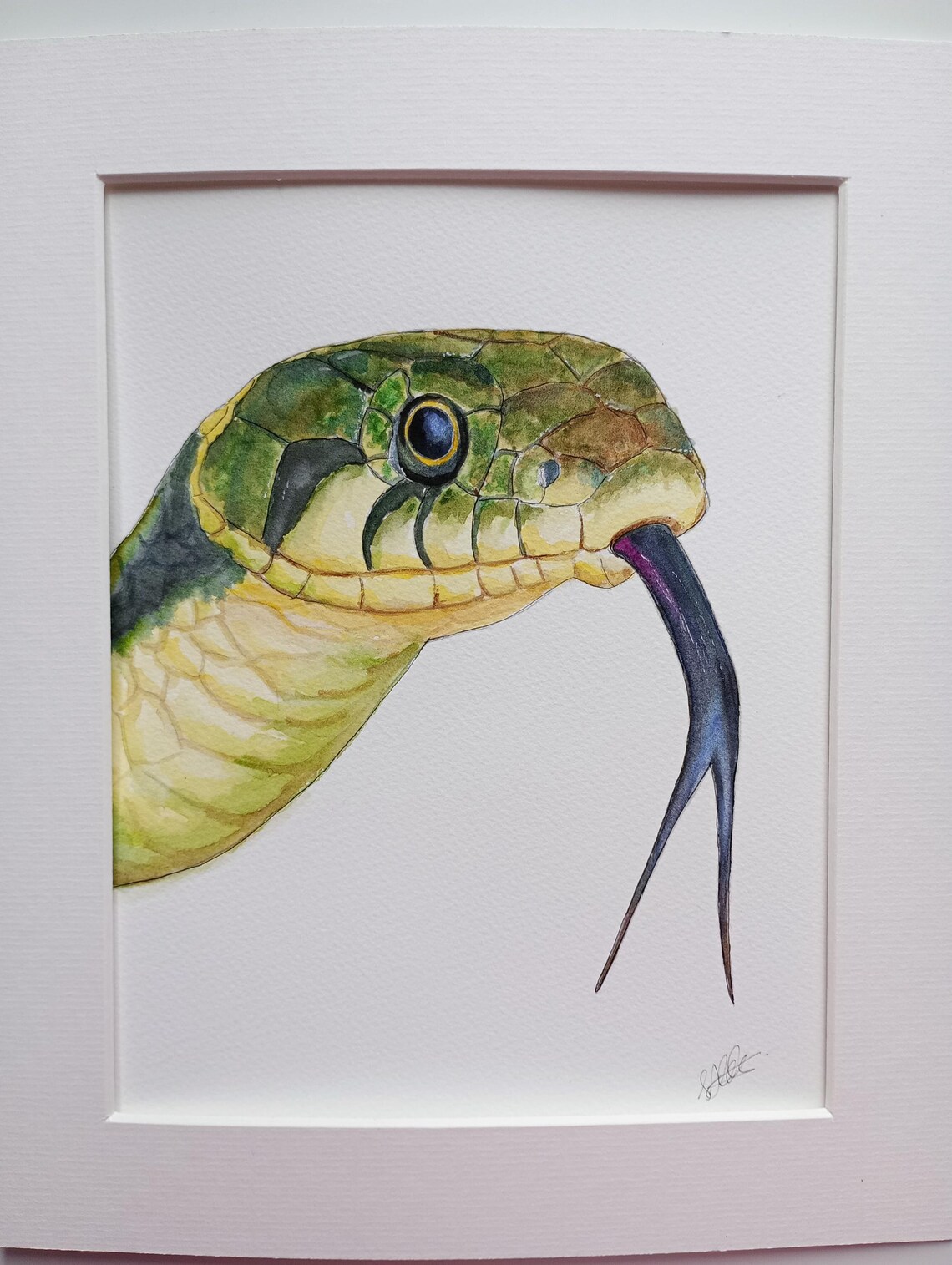 Grass-snake Original Watercolour Mounted 10x12 - Etsy