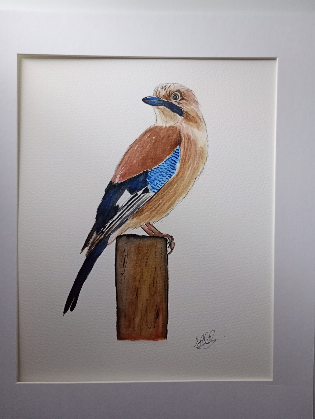 Jay Original Watercolour Mounted 10x12 - Etsy