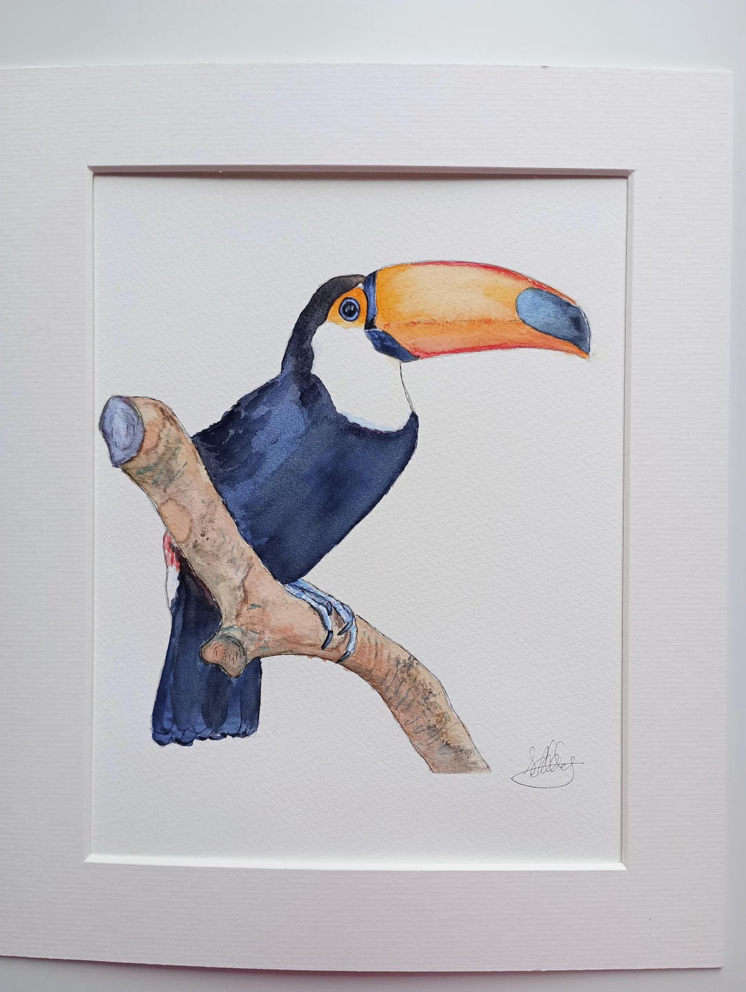 Toucan Original Watercolour Mounted 10x12 - Etsy