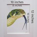 Grass-snake Original Watercolour Mounted 10x12 - Etsy