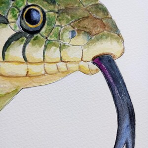 Grass-snake Original Watercolour Mounted 10x12 - Etsy