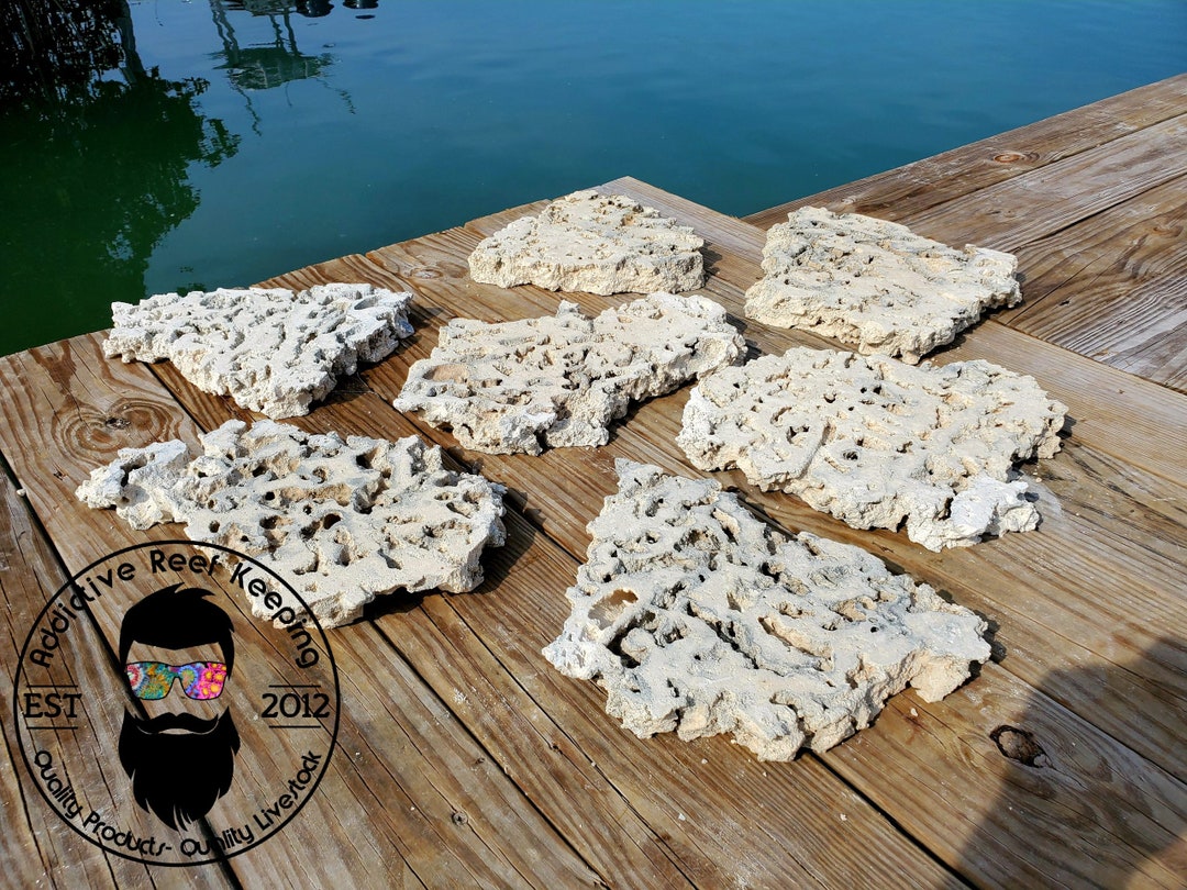 ARK Shelf Reef Rock Dry Aquariums - Etsy
