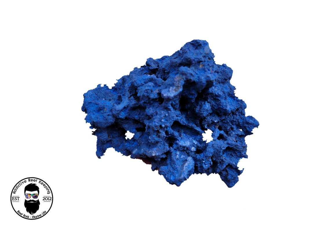 ARK Blue Coral Reef Rock Dry Aquarium - Etsy