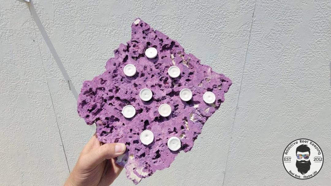 ARK Frag Purple Shelf Rock- 10 Frag Holes- 6"× 9"- 1" Thick - Etsy
