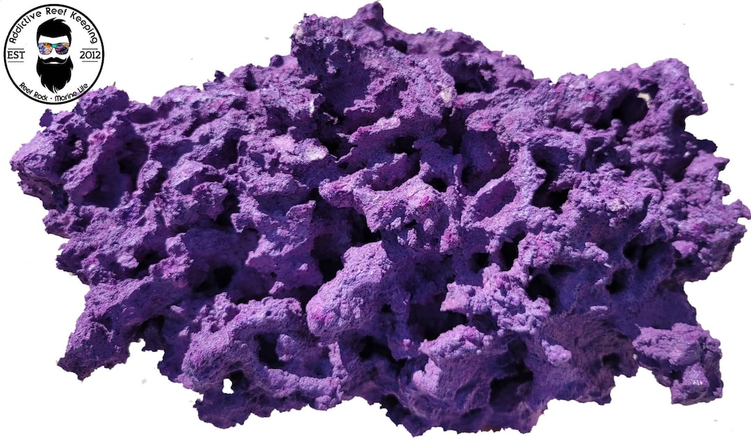 ARK Purple Reef Rock Dry Aquariums - Etsy