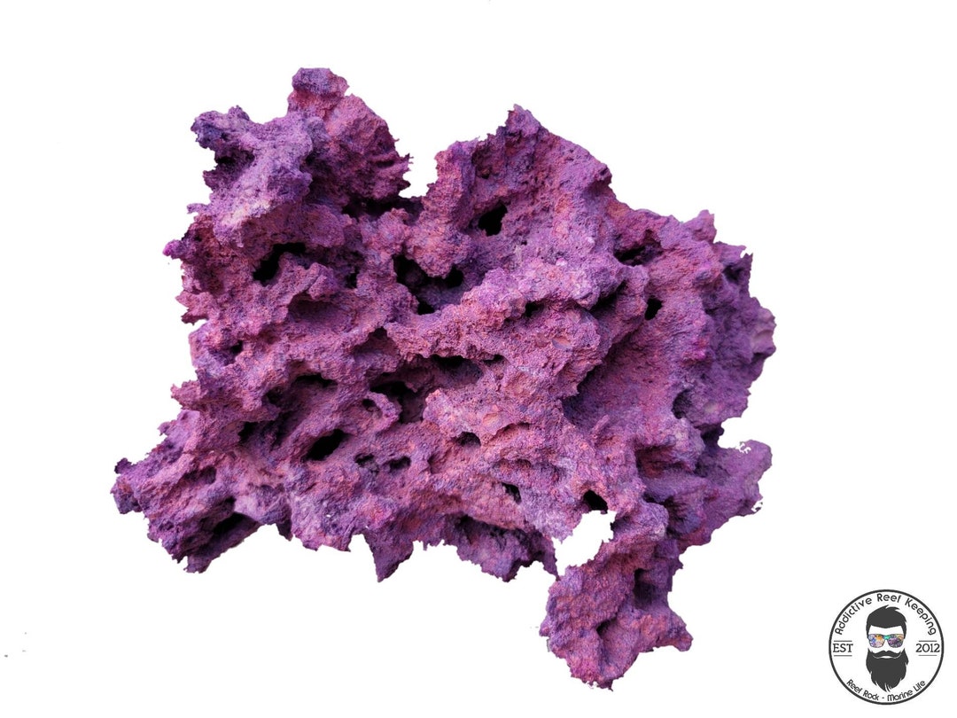 ARK Pink on Purple Reef Rock Dry Aquariums - Etsy
