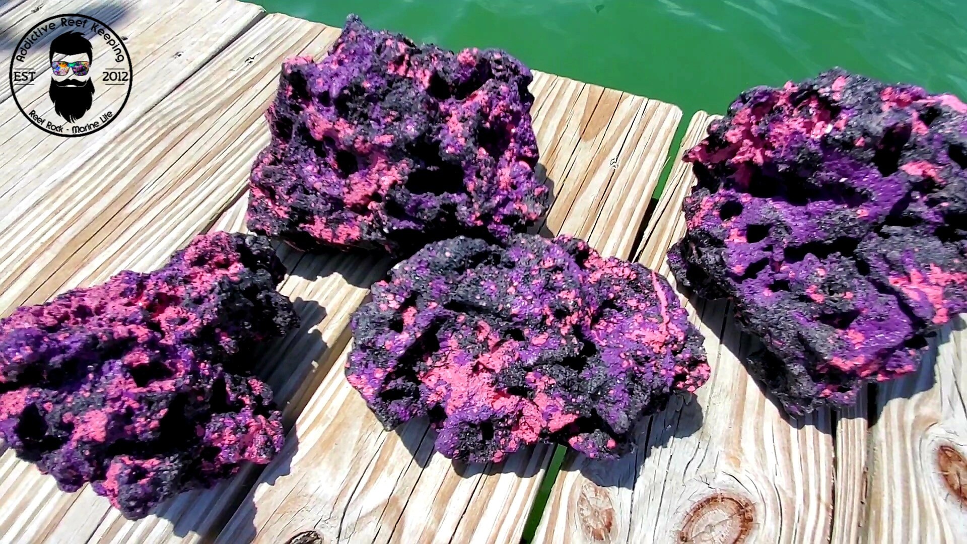 ARK Purple Pink and Black Reef Rock Dry Aquarium - Etsy