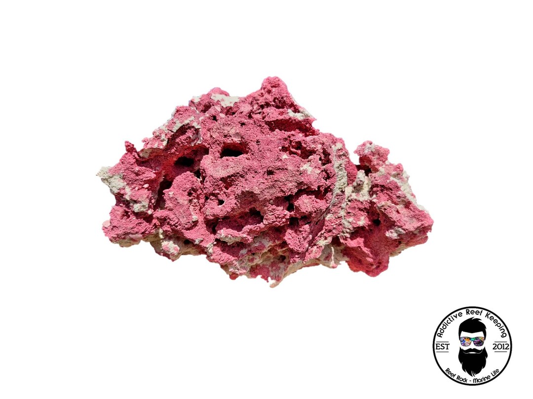 ARK Pink Reef Rock Dry Aquarium - Etsy