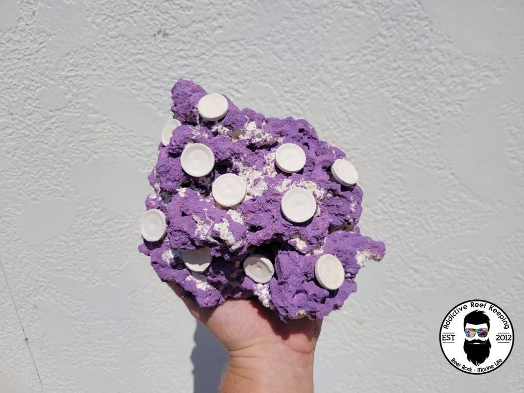 ARK Frag Rock Purple- 10 Frag Holes- 9"× 8" - Etsy
