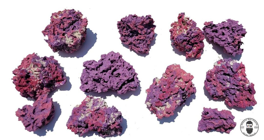 ARK Assorted Coralline Reef Rock Dry Aquariums - Etsy