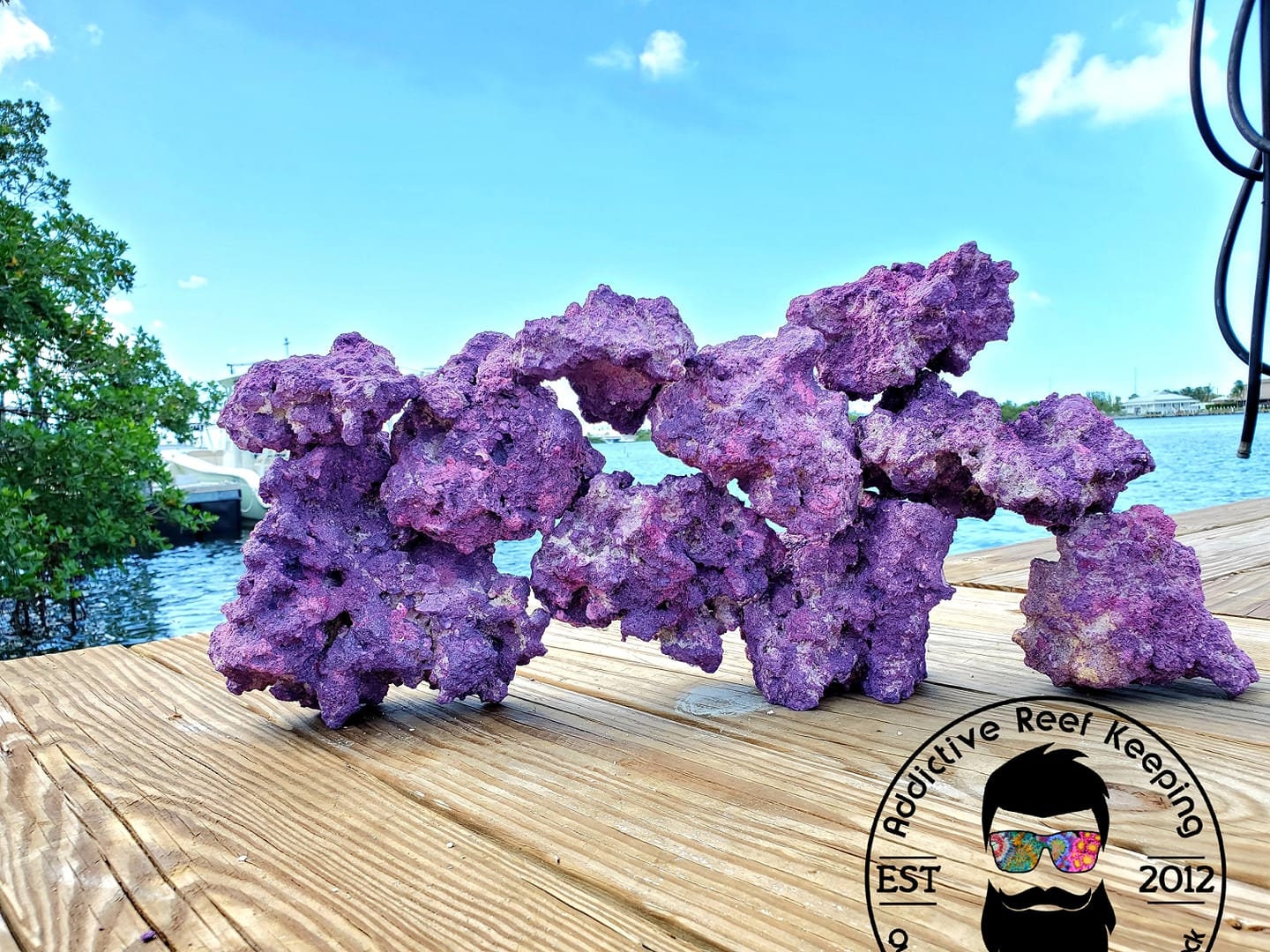 ARK Purple Reef Rock Dry Aquariums - Etsy
