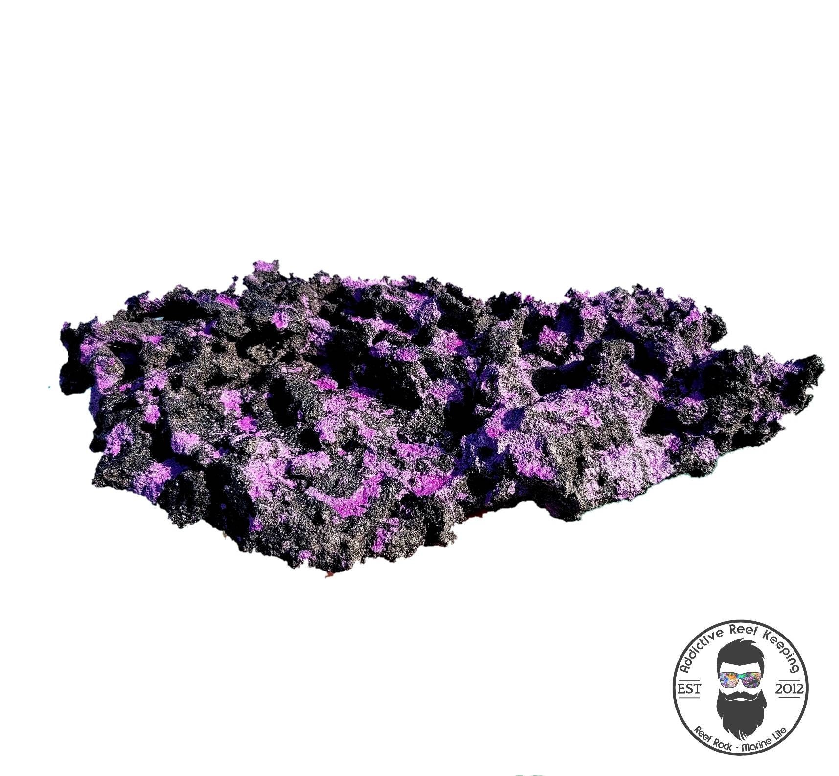ARK Purple on Black Reef Rock Dry Aquariums - Etsy