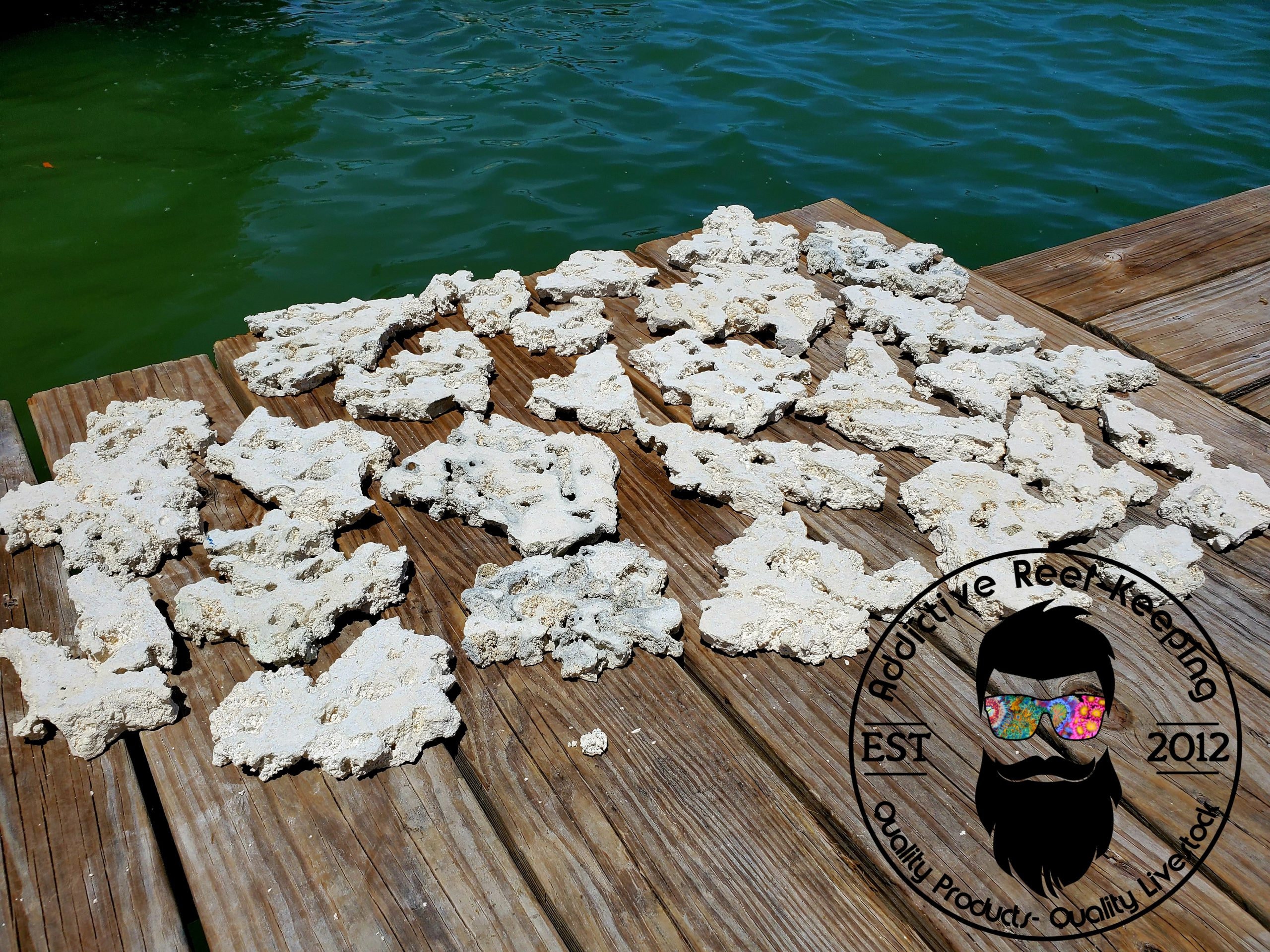 ARK Shelf Reef Rock Dry Aquariums | Etsy