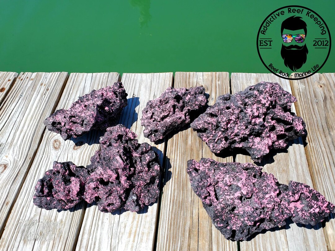 ARK Pink on Black Reef Rock Dry Aquariums - Etsy