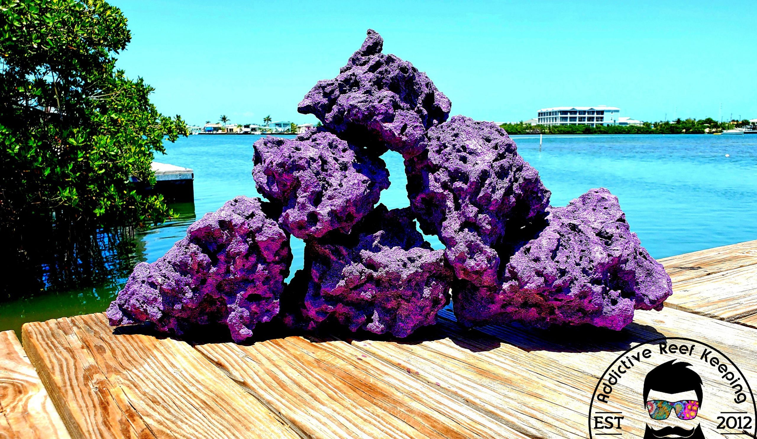 ARK Hawaiian Reef Rock Dry Aquariums - Etsy