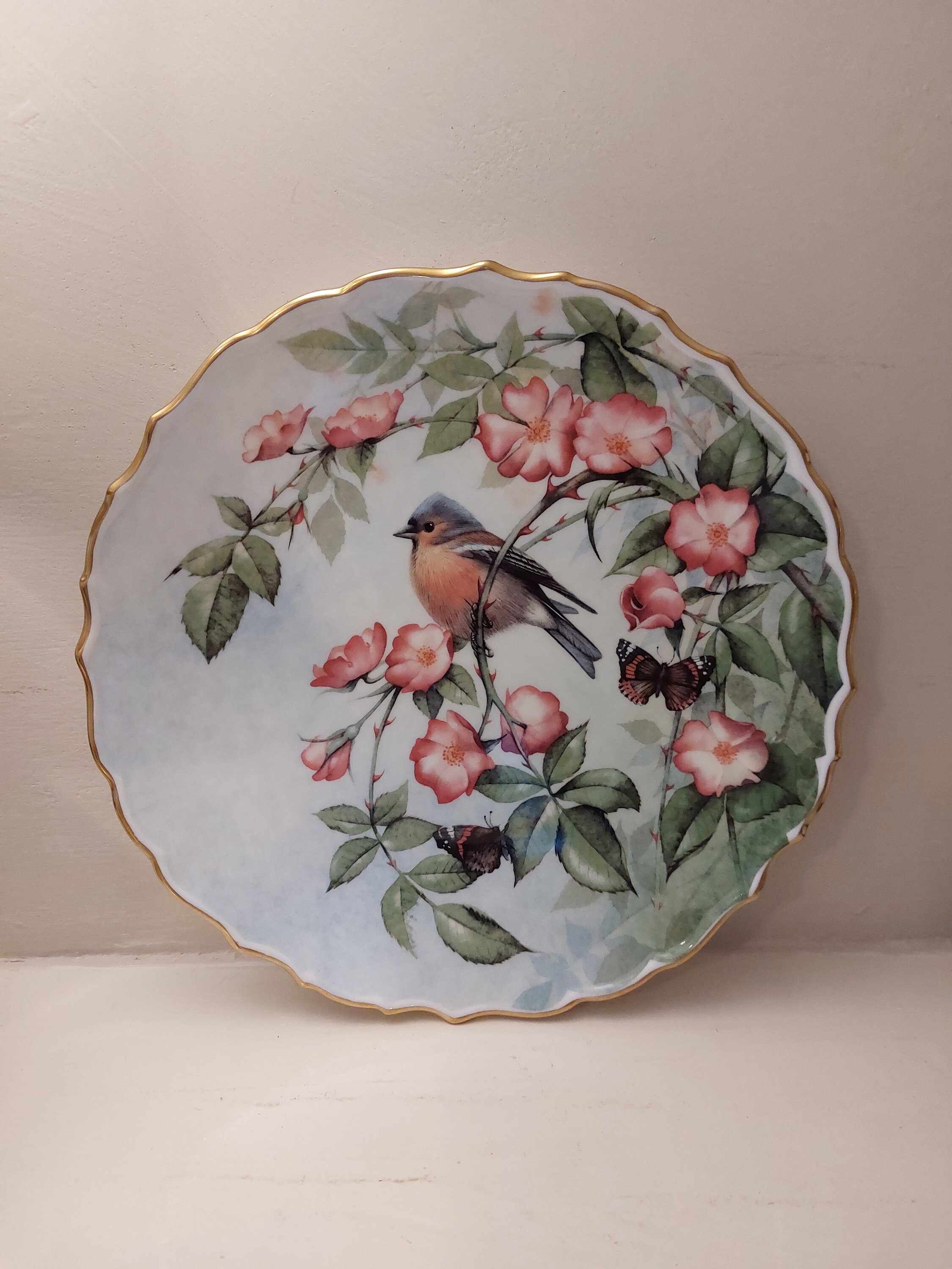 Vintage Rare Spode British Birds Chaffinch Picture Plate - Etsy