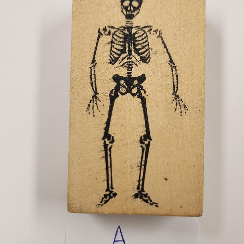 Skull Rubber Stamp - Etsy