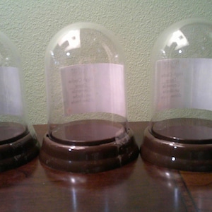 Lot of Clear Plastic Cloche Dome, Plastic Cloche, DIY Craft Supply Pick ...