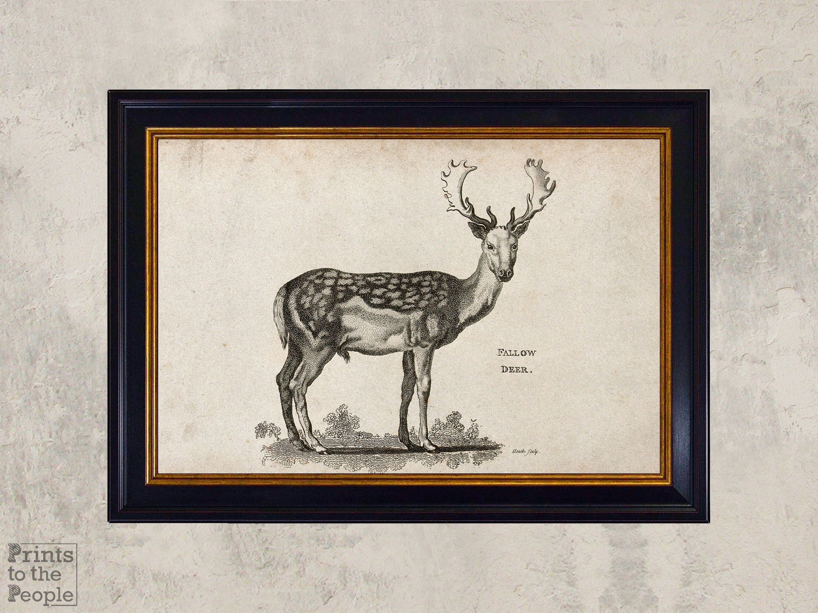 Deer Etching Vintage Drawing Digital Print Instant Download Frame It ...