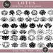 Lotus SVG Bundle Lotus Flower SVG Lotus Silhouette Lotus Clipart ...