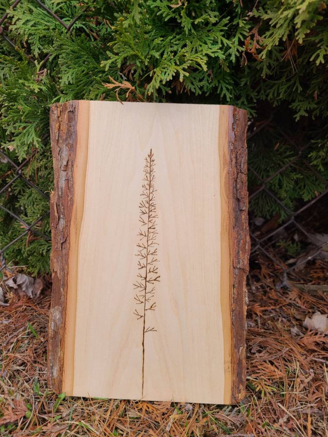 Live Edge Wall Decor - Etsy