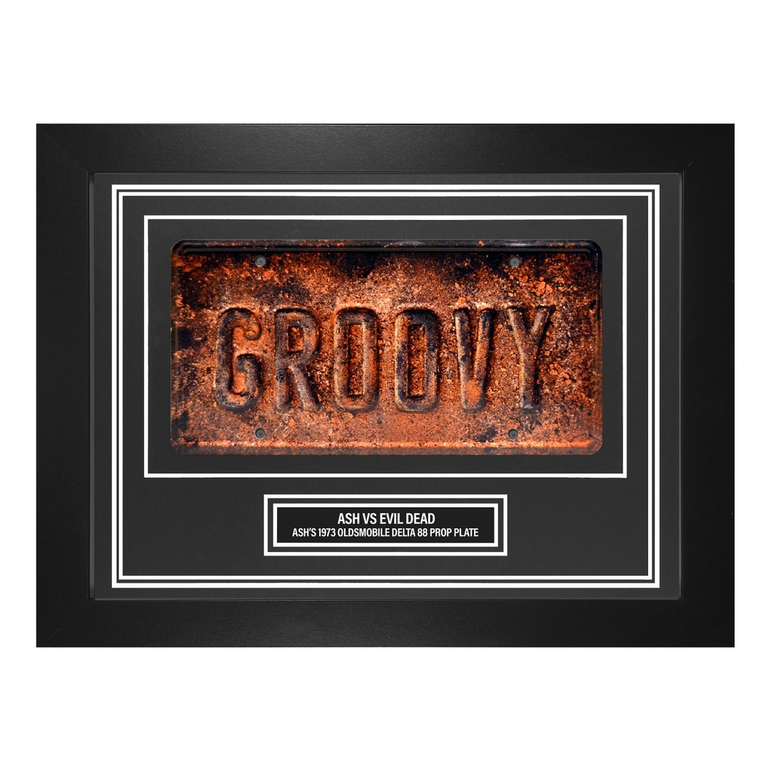 Ash Vs Evil Dead License Plate Wall Display Groovy Prop Frame - Etsy