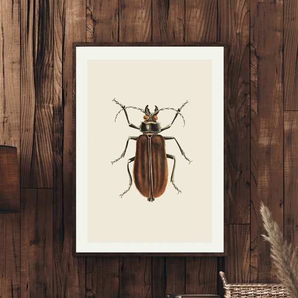 Bug Prints - Etsy