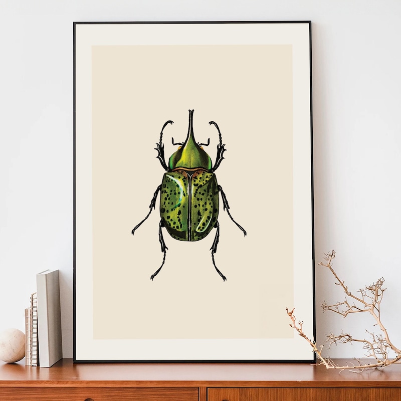 Insect Poster - Etsy
