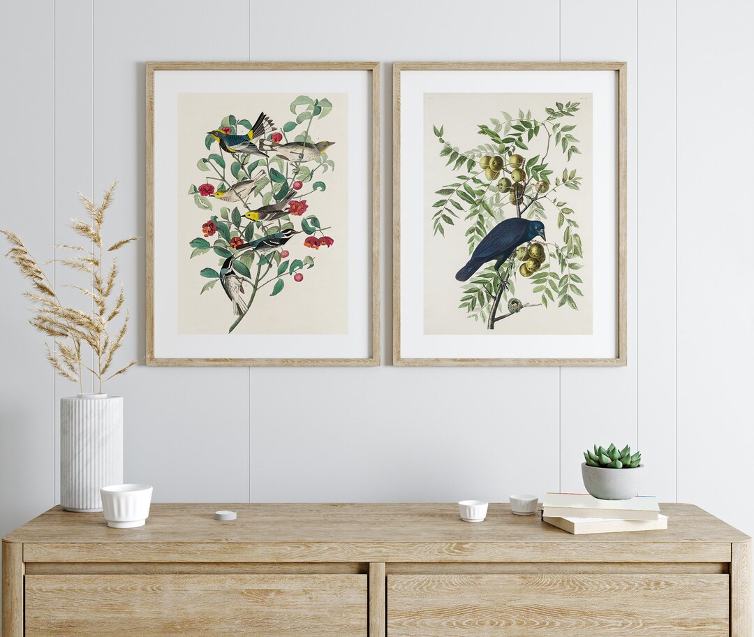 Botanical Bird Prints Set of 2, Vintage Bird Posters, Birds on the Tree ...