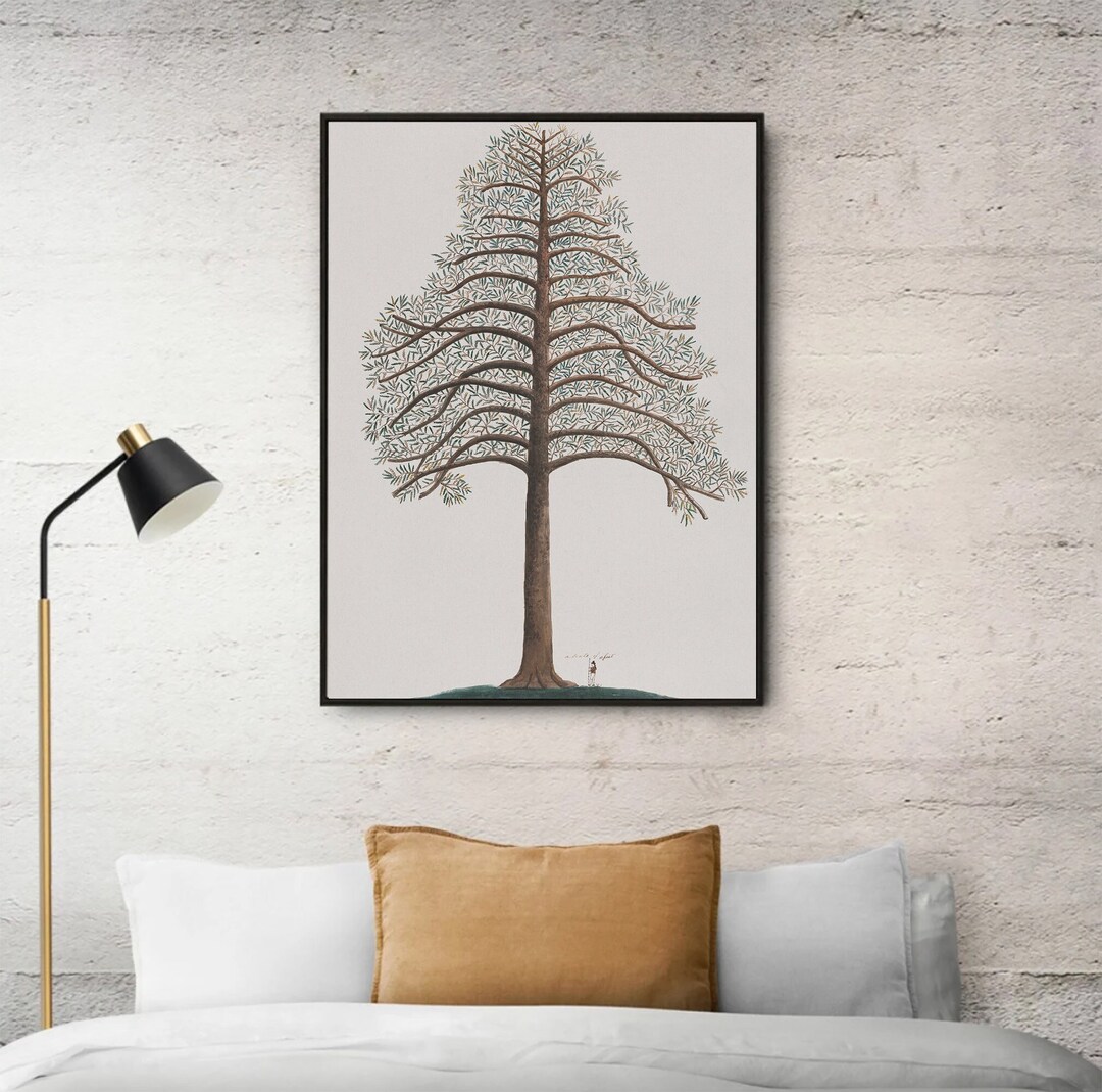 Vintage Pine Tree Illustration Neutral Colours Botanical Wall - Etsy