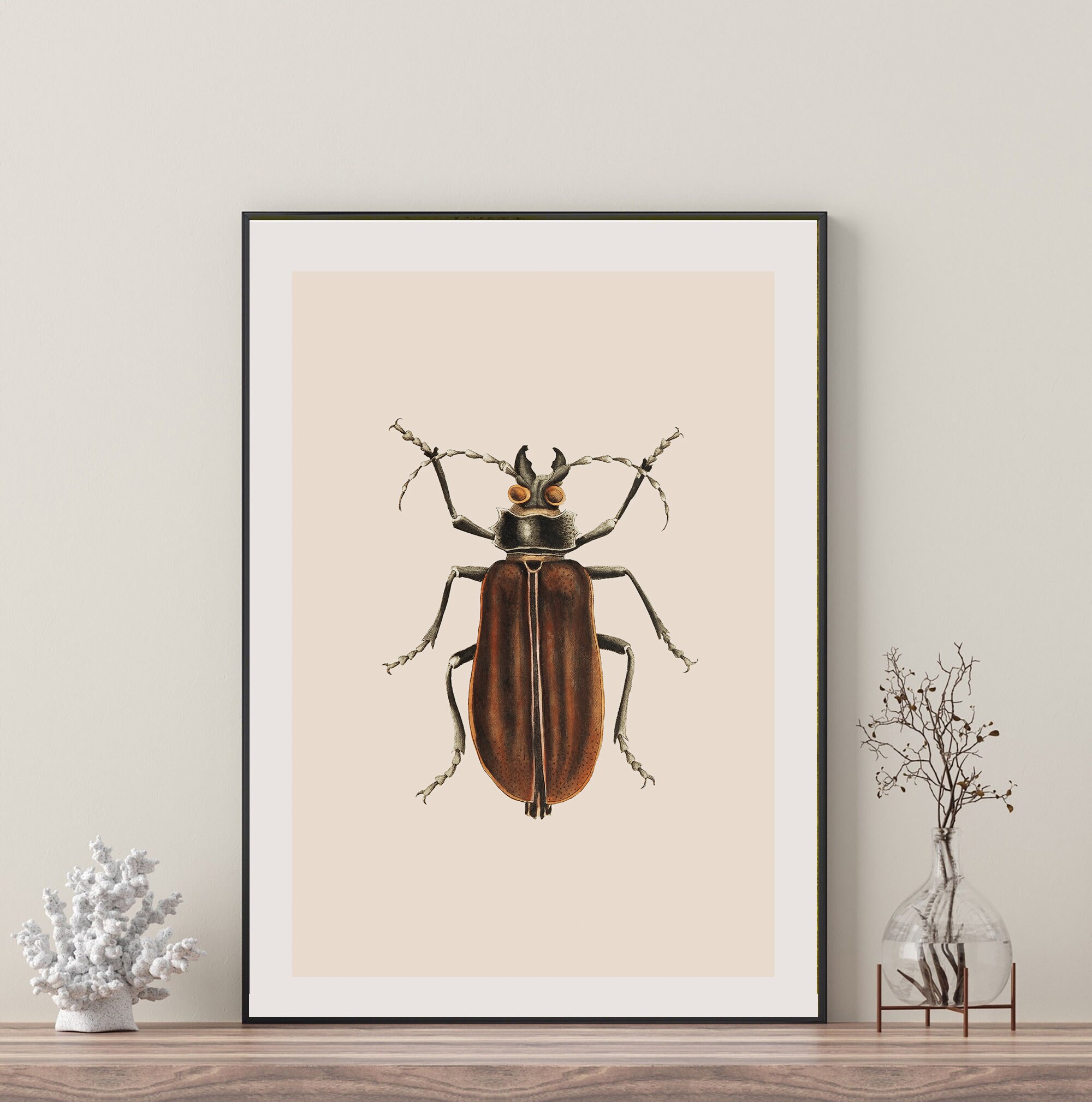 Insect Prints Set of 4 Gallery Wall Set Colorful Beetle - Etsy