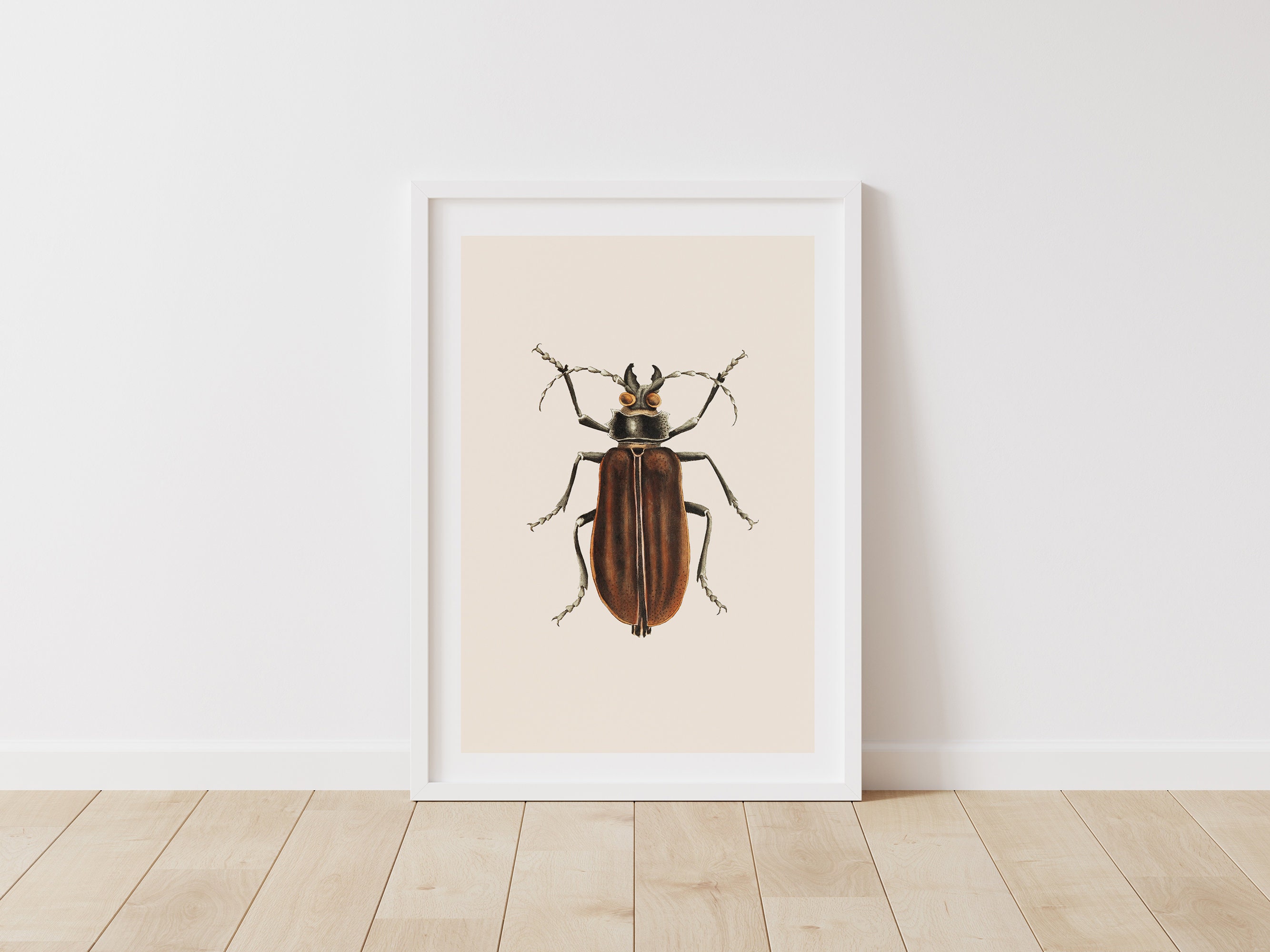 Insect Prints Set of 4 Gallery Wall Set Colorful Beetle - Etsy