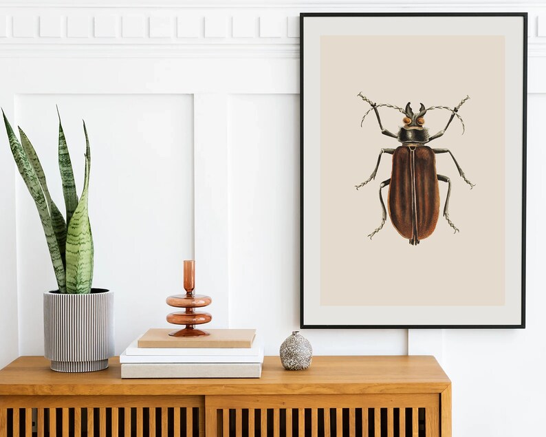 Insect Prints Set of 4, Gallery Wall Set Colorful, Beetle Gallery, Cute ...