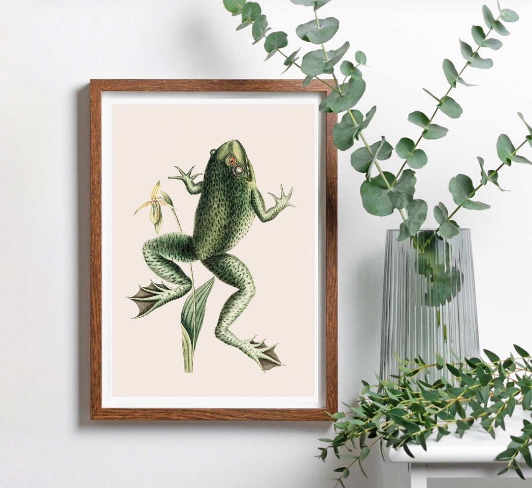 Vintage Frog Print, Toad Botanical Fine Art Print, Printable Digital ...