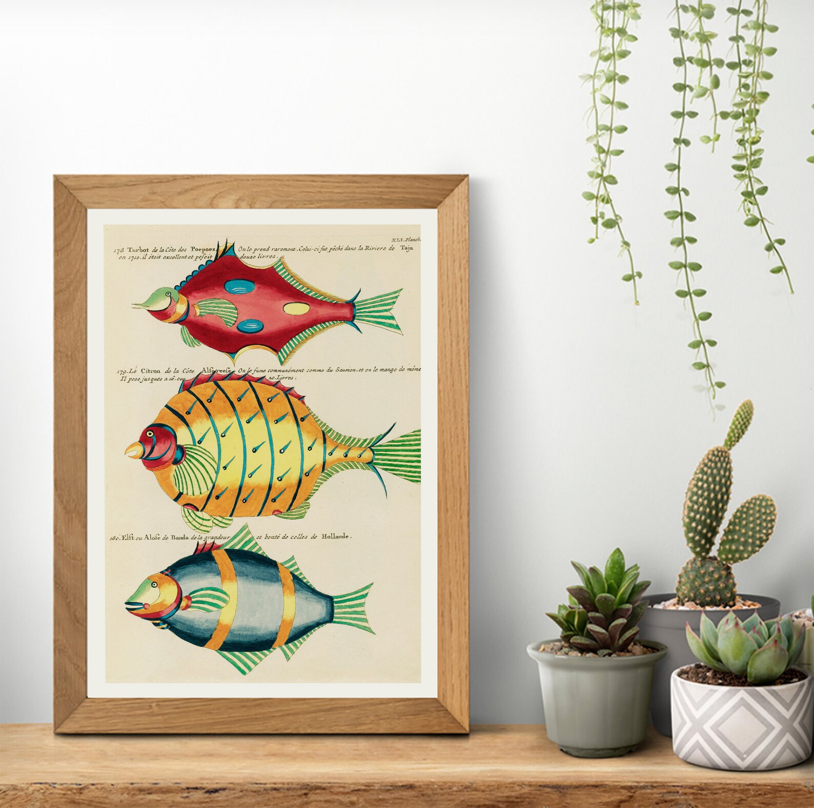 Vintage Fish Print, Botanical Kitchen Poster, Old Animal Drawing ...